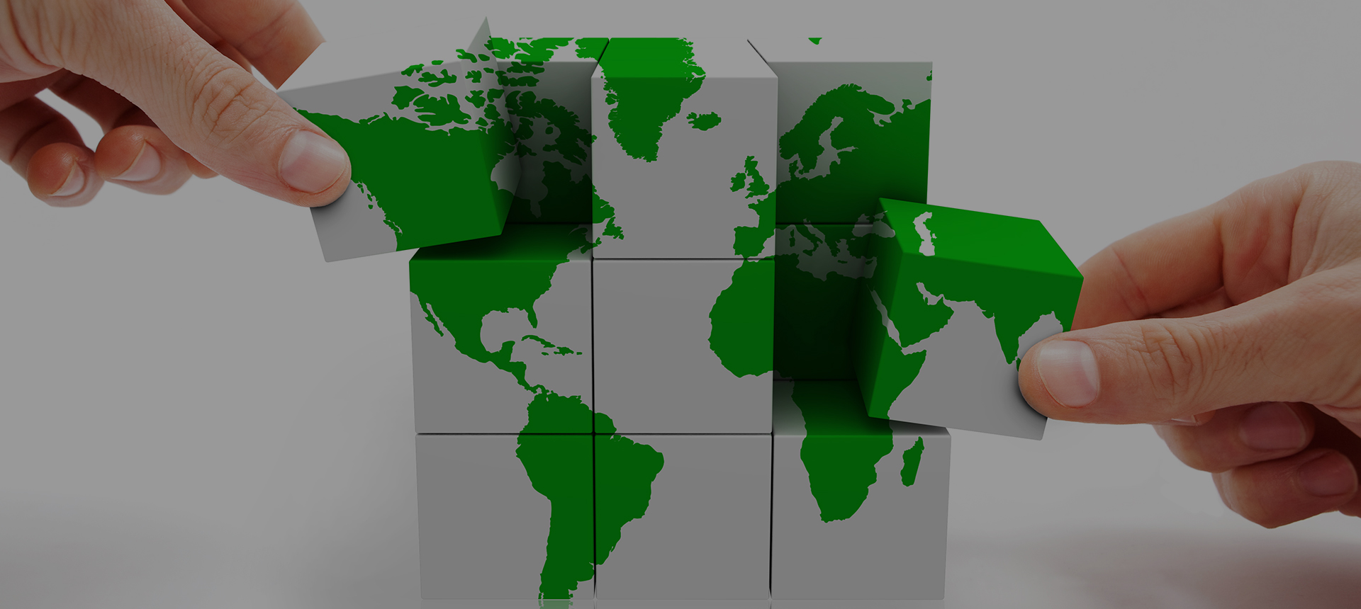 Our Subsidiaries Around the World | Cama Group